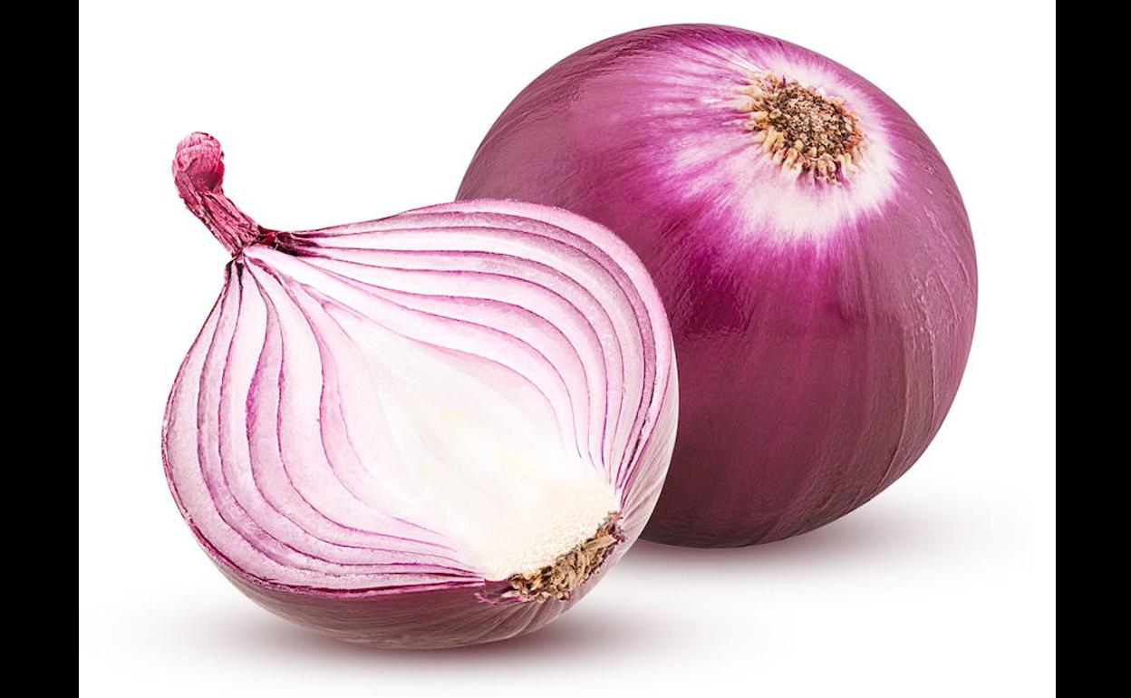 Carpología revela evolución de la cebolla