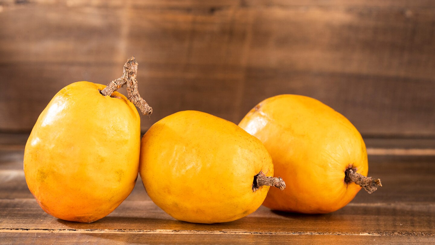 Jobo de la India: evolución a través de la Carpología