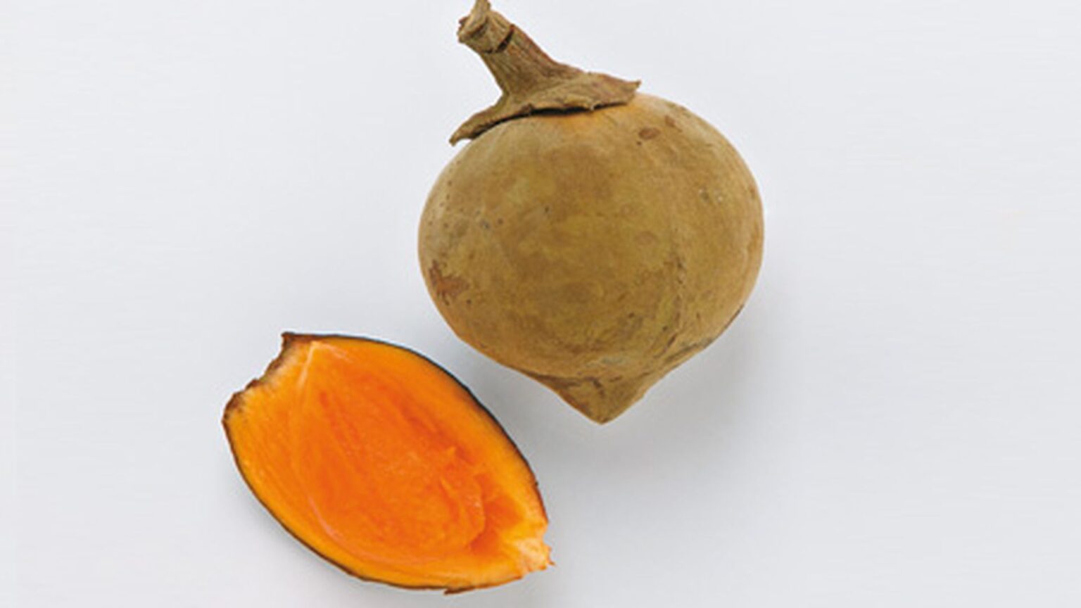 Sapote: un viaje a través de la carpología para descubrir su evolución