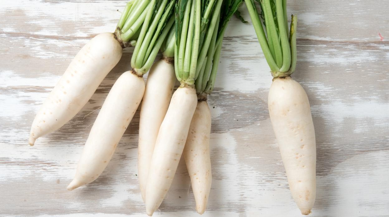 Paisaje de la especie vegetal Nabo de piel lisa en Carpología