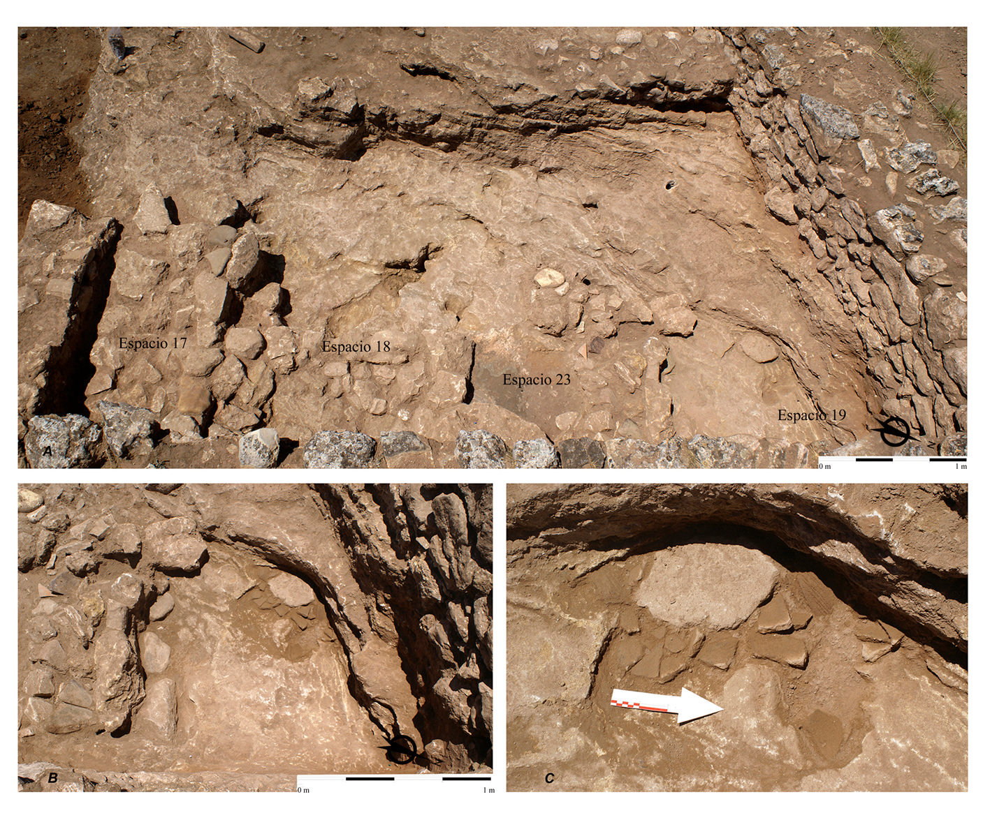 Descubre el paisaje prehistórico de Urdbean con la Carpología