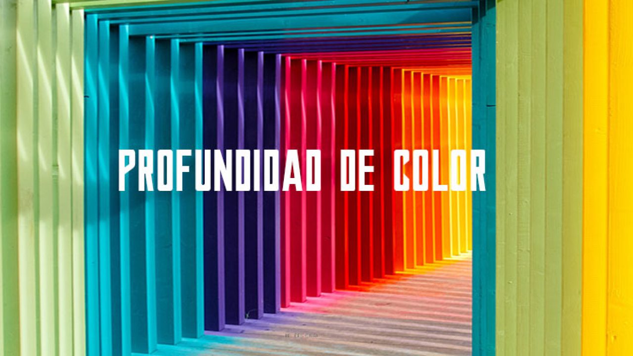 Evolución del nabo bicolor en Carpología